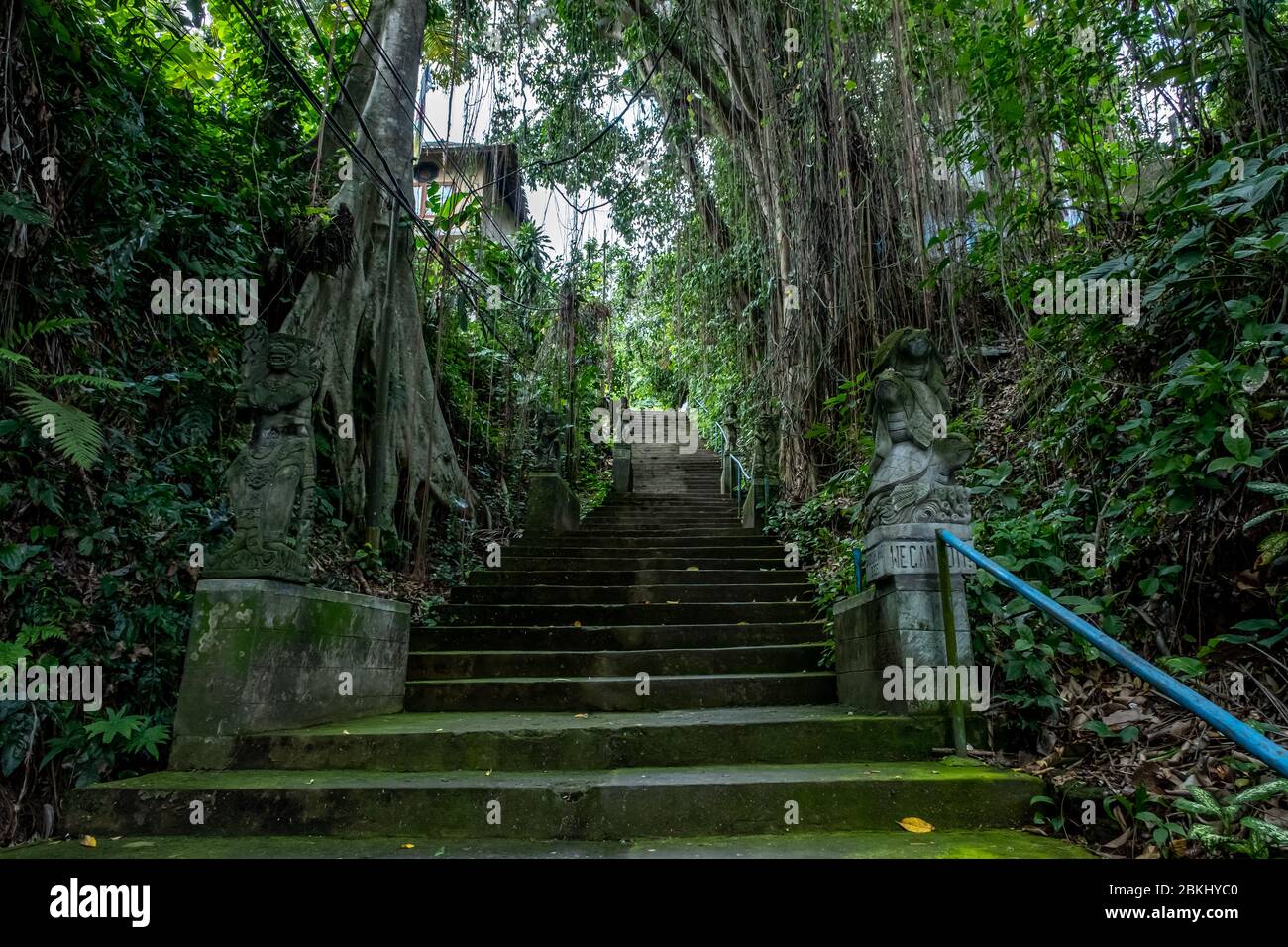 Exotic stairs in banyan trees, this stairs in Ubud, Bali Island ...