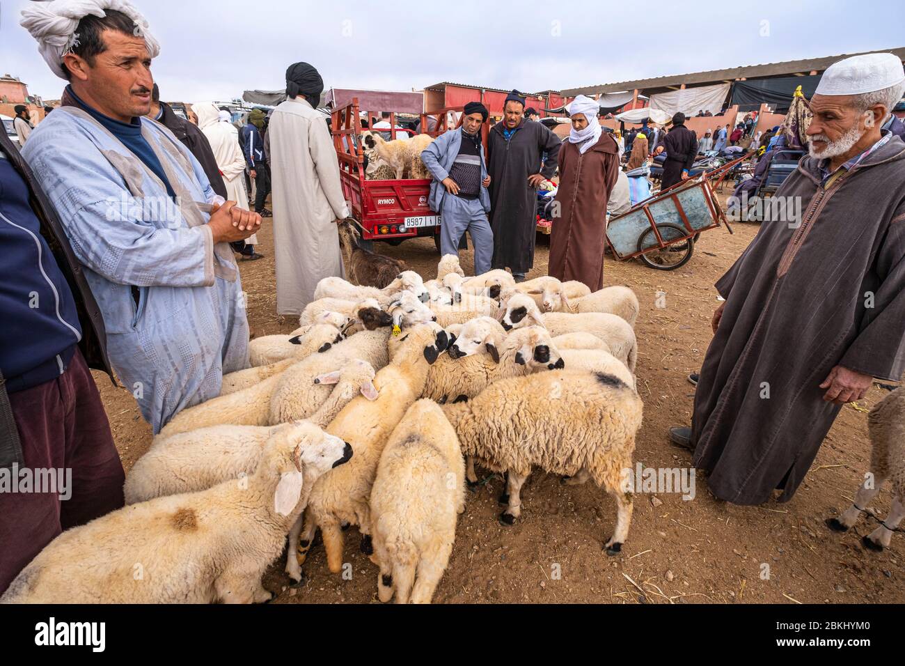 Morocco, Guelmim-Oued Noun region, saturday souk Stock Photo - Alamy