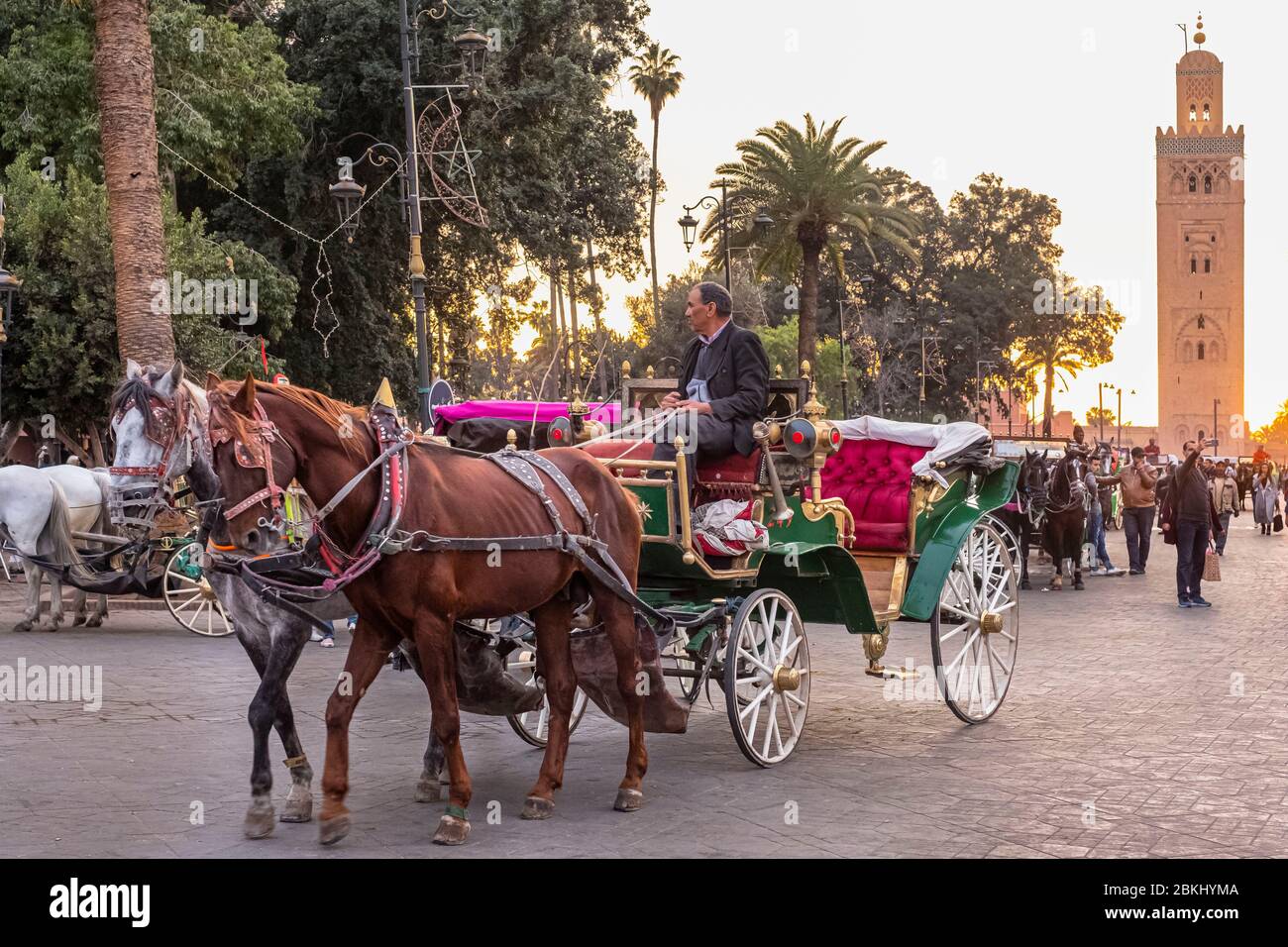 Morocco, Marrakesh-Safi region, Marrakesh, imperial city, the medina ...
