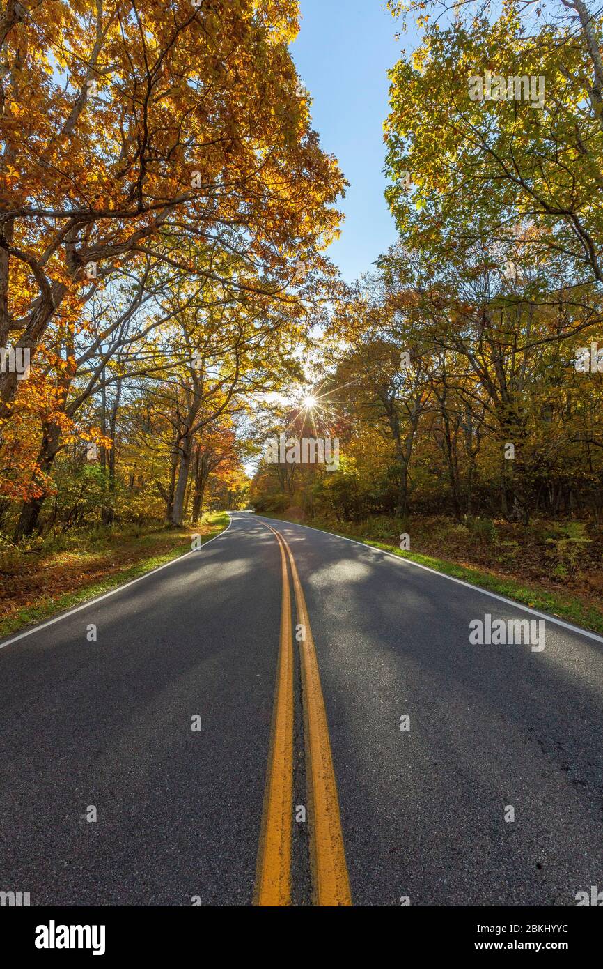 USA, Virginia, Shenandoah National Park in the fall, skyline Drive ...