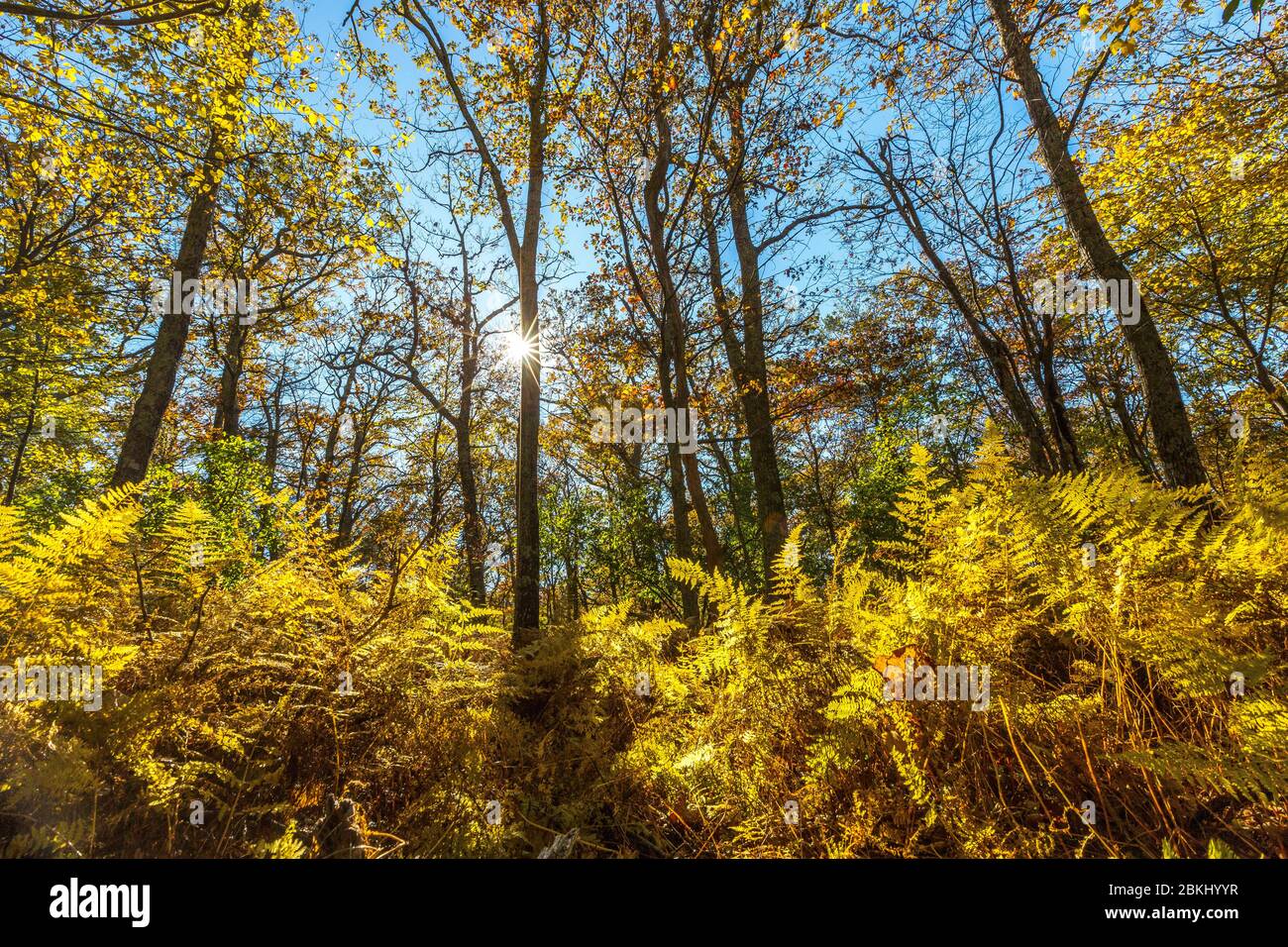 Virginia fall landscape hi-res stock photography and images - Alamy