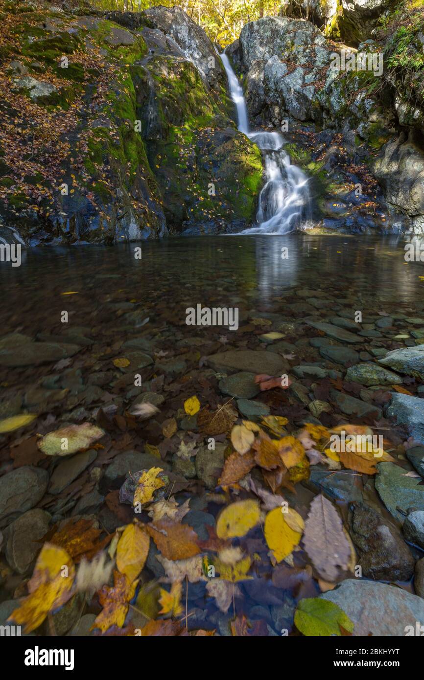 Virginia water park hi-res stock photography and images - Alamy