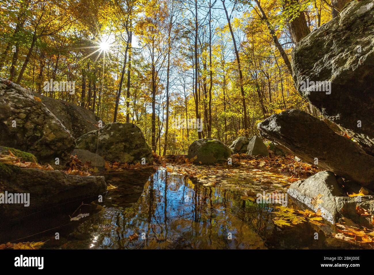 Virginia water waterfall hi-res stock photography and images - Alamy