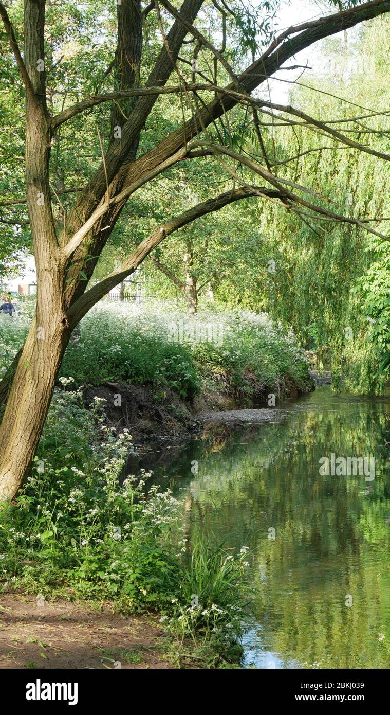 The River Pool, in Kent and South East London, England Stock Photo - Alamy