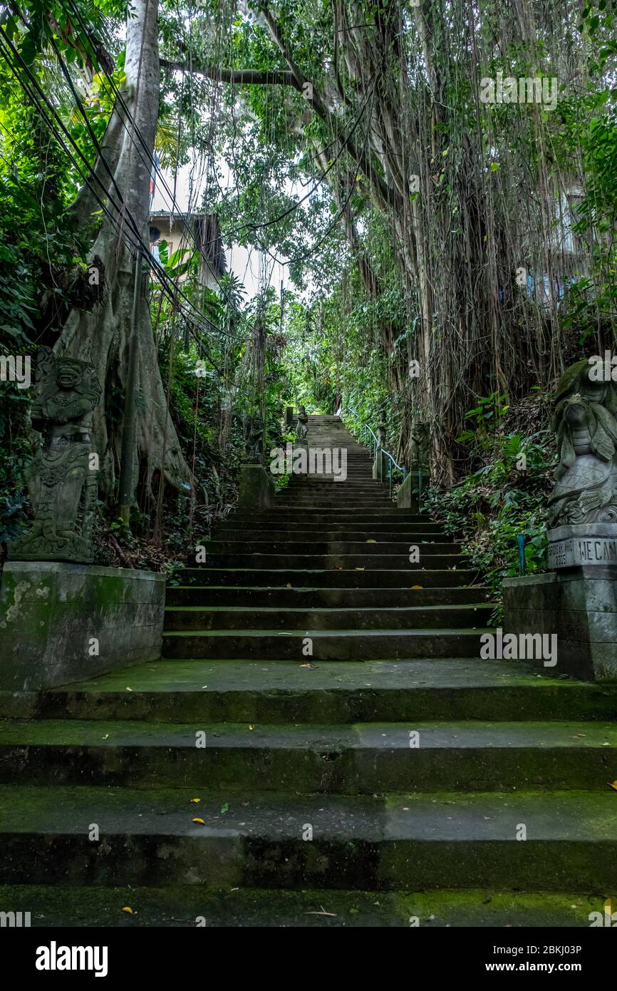 Exotic stairs in banyan trees, this stairs in Ubud, Bali Island ...