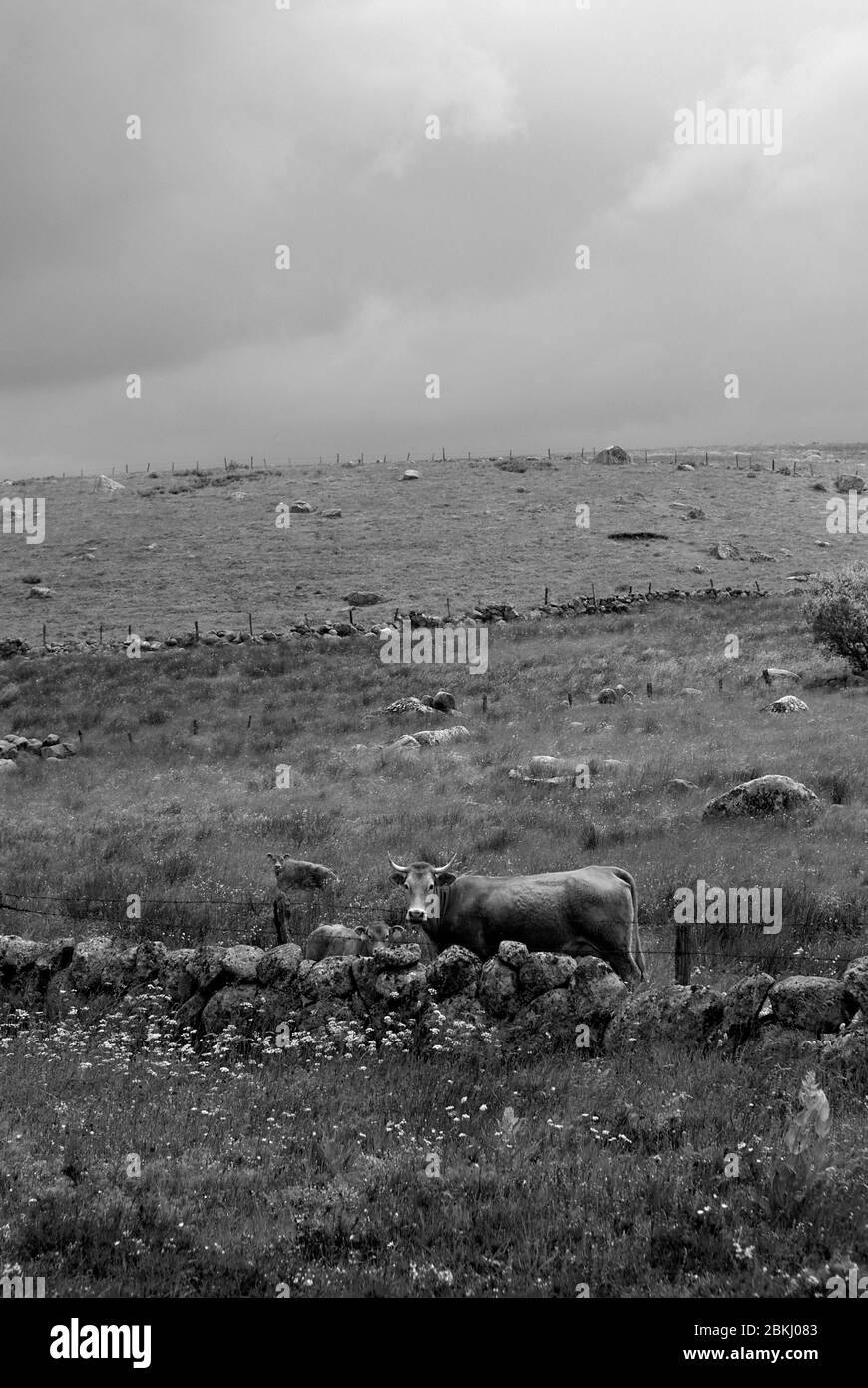 Central plateau a Black and White Stock Photos & Images - Alamy