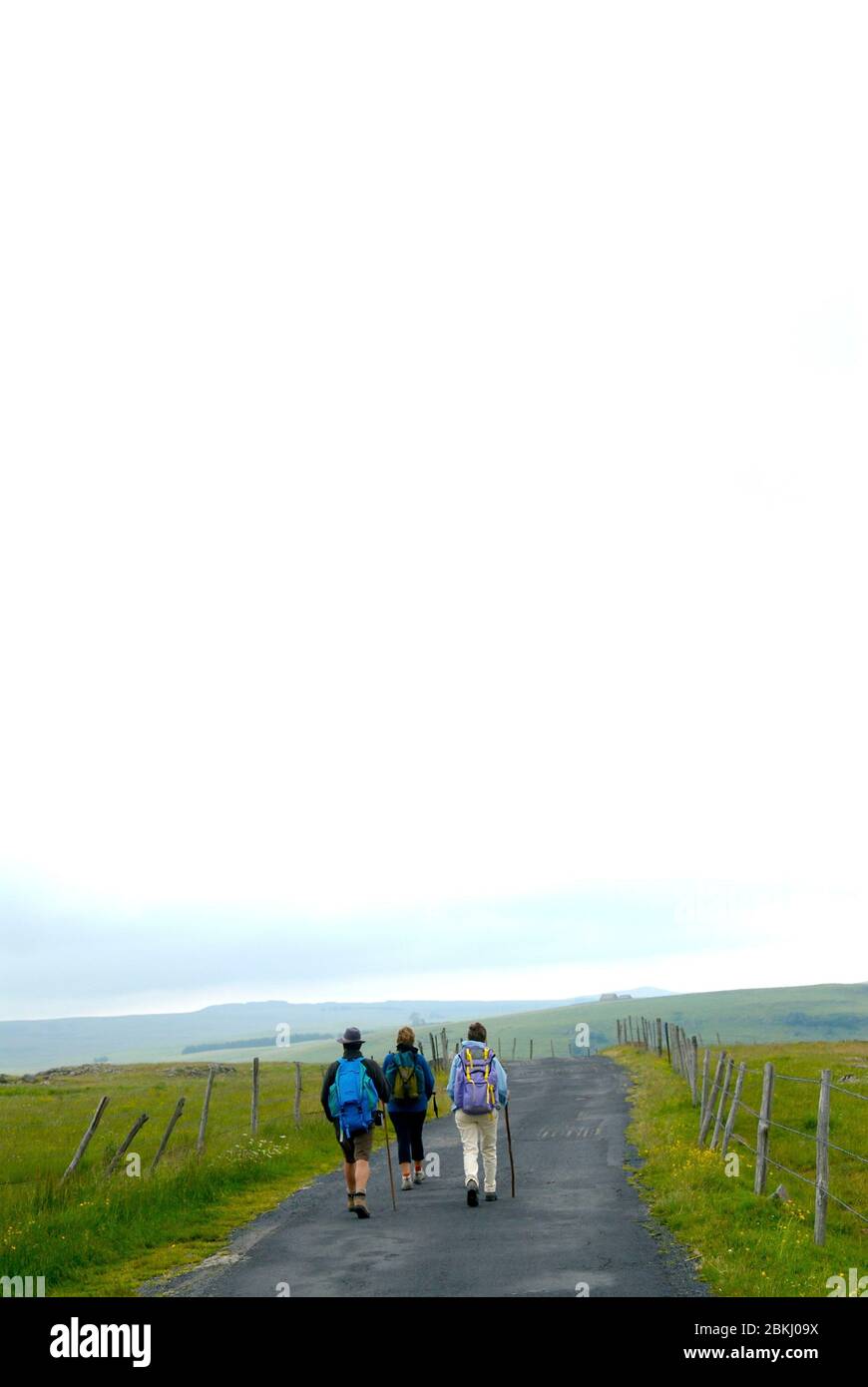 France, Aubrac plateau, pilgrim of Saint-Jacques-de-Compostelle Stock ...