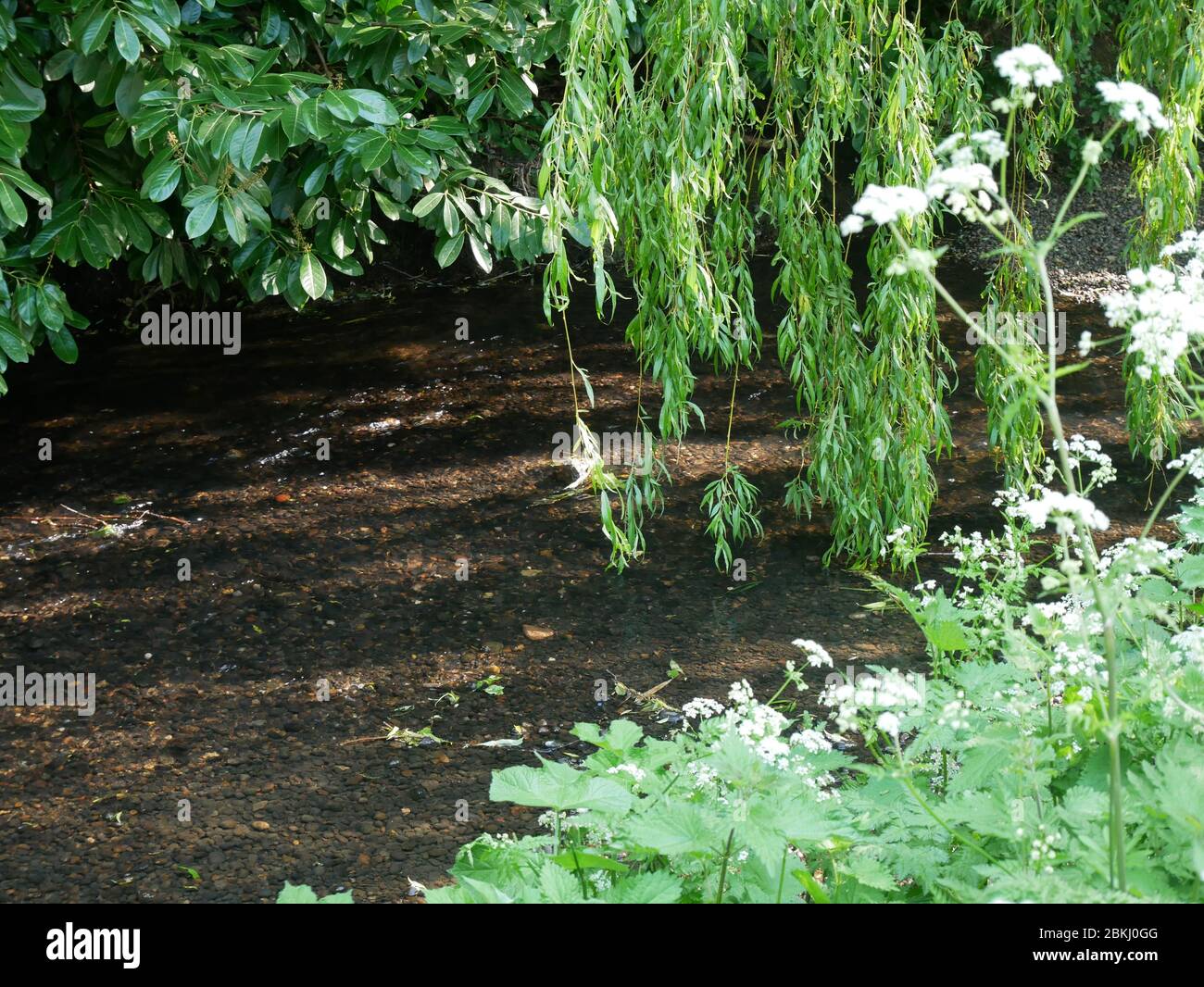 The River Pool, in Kent and South East London, England Stock Photo - Alamy