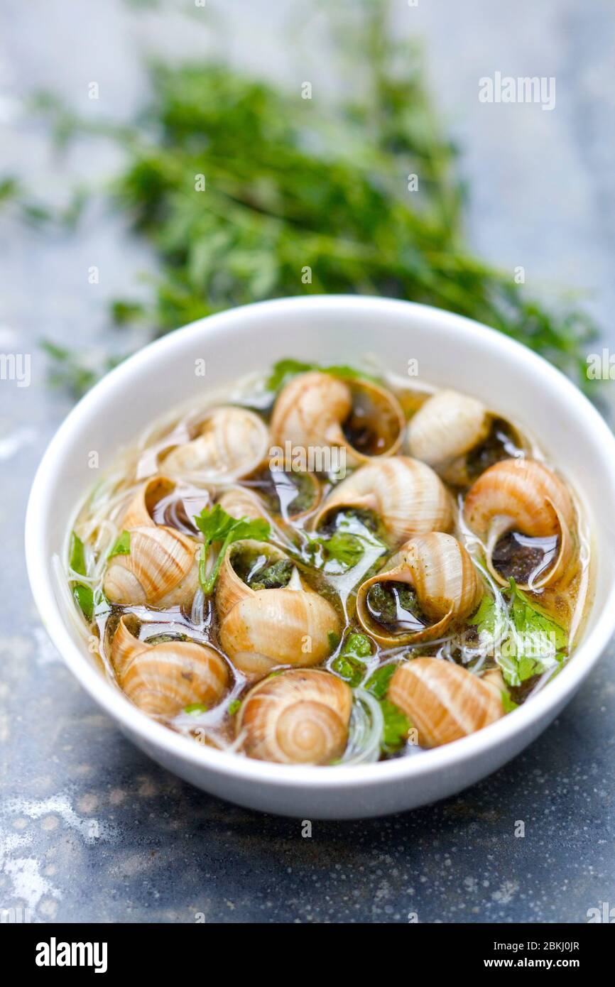 Garlic Snail High Resolution Stock Photography and Images - Alamy