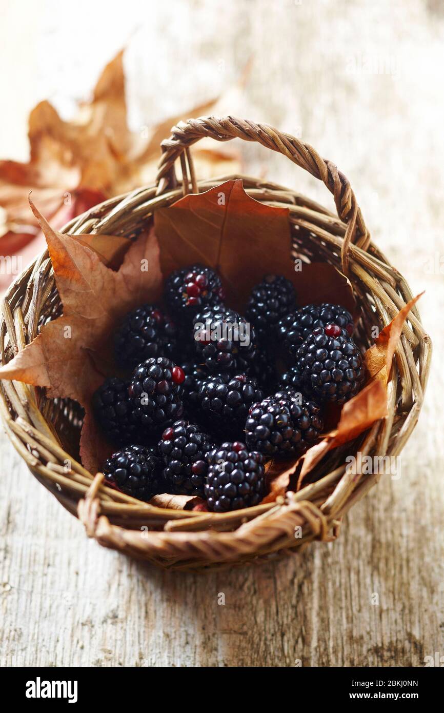 Mures hi-res stock photography and images - Alamy