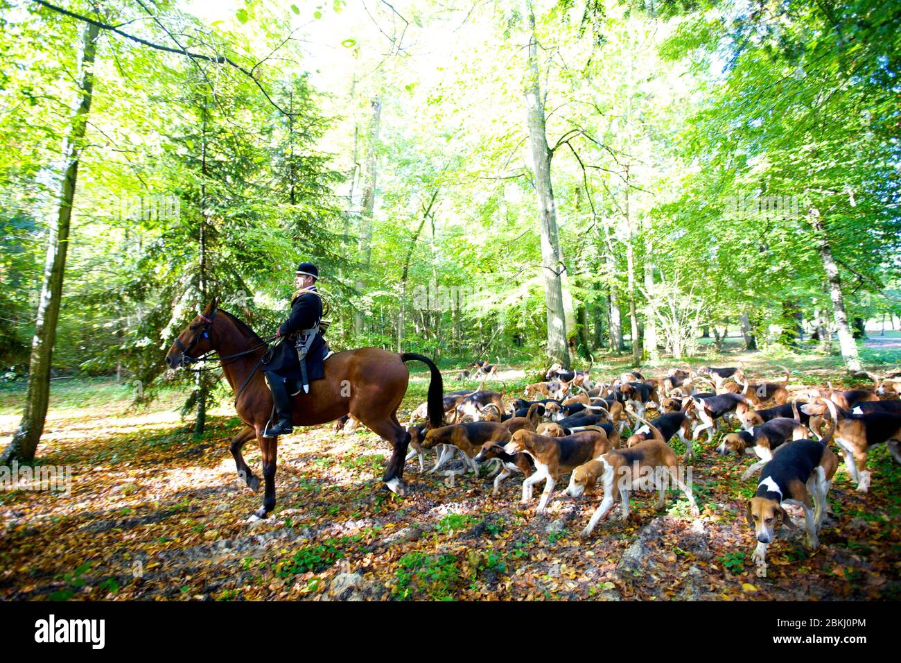 Sologne hunting hi-res stock photography and images - Alamy