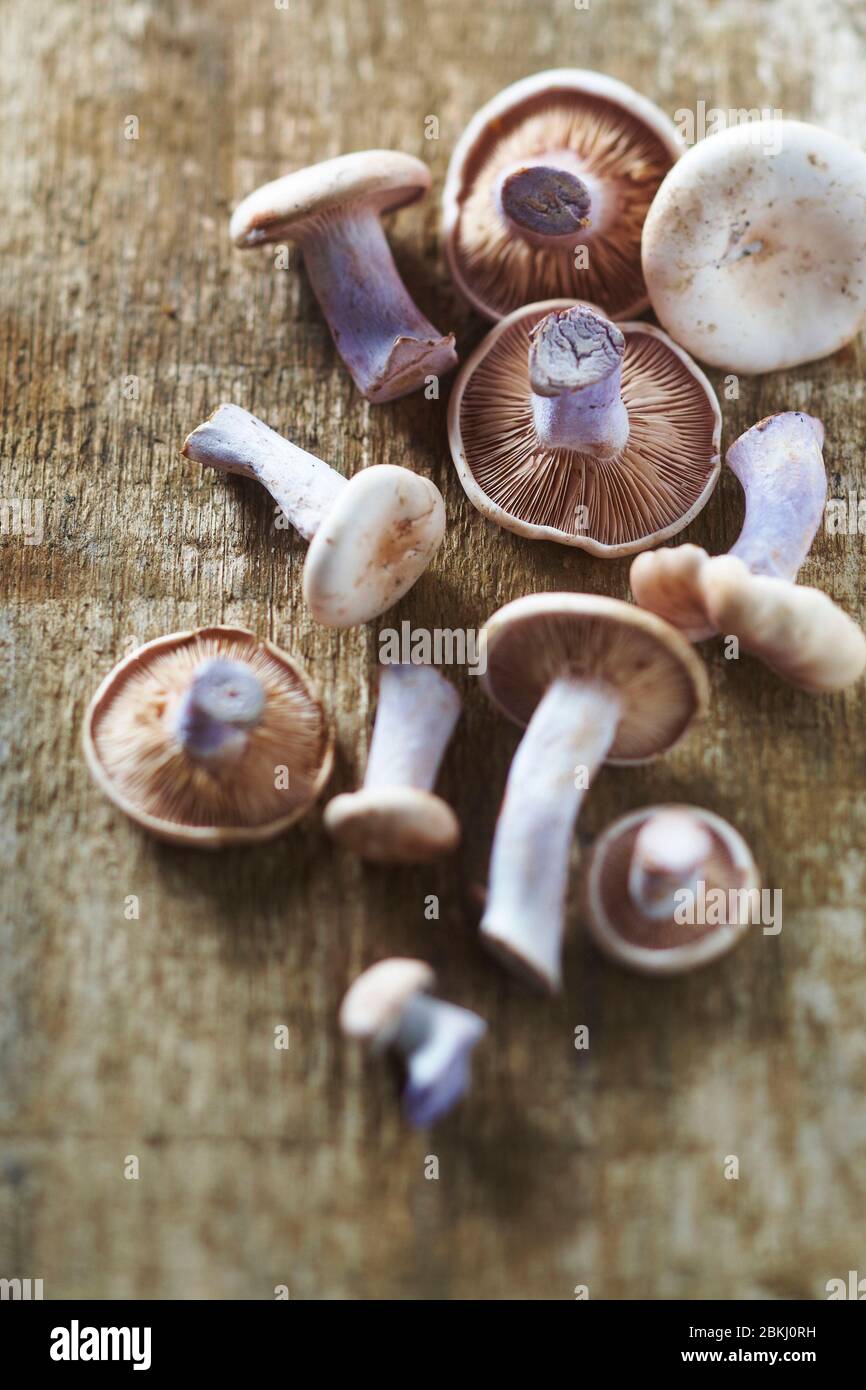 Blue foot hi-res stock photography and images - Alamy