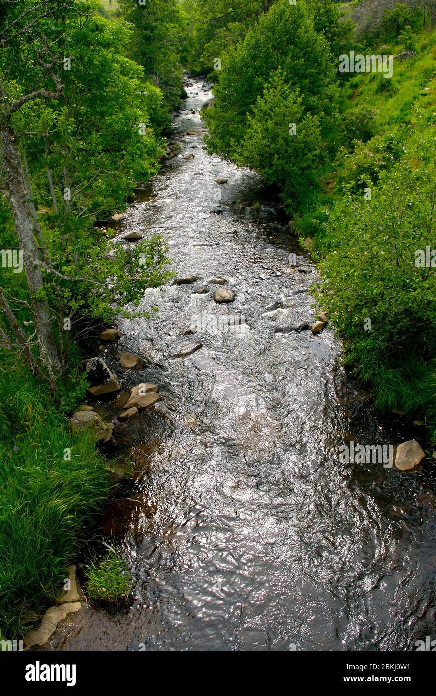 France, the Aubrac plateau Stock Photo - Alamy