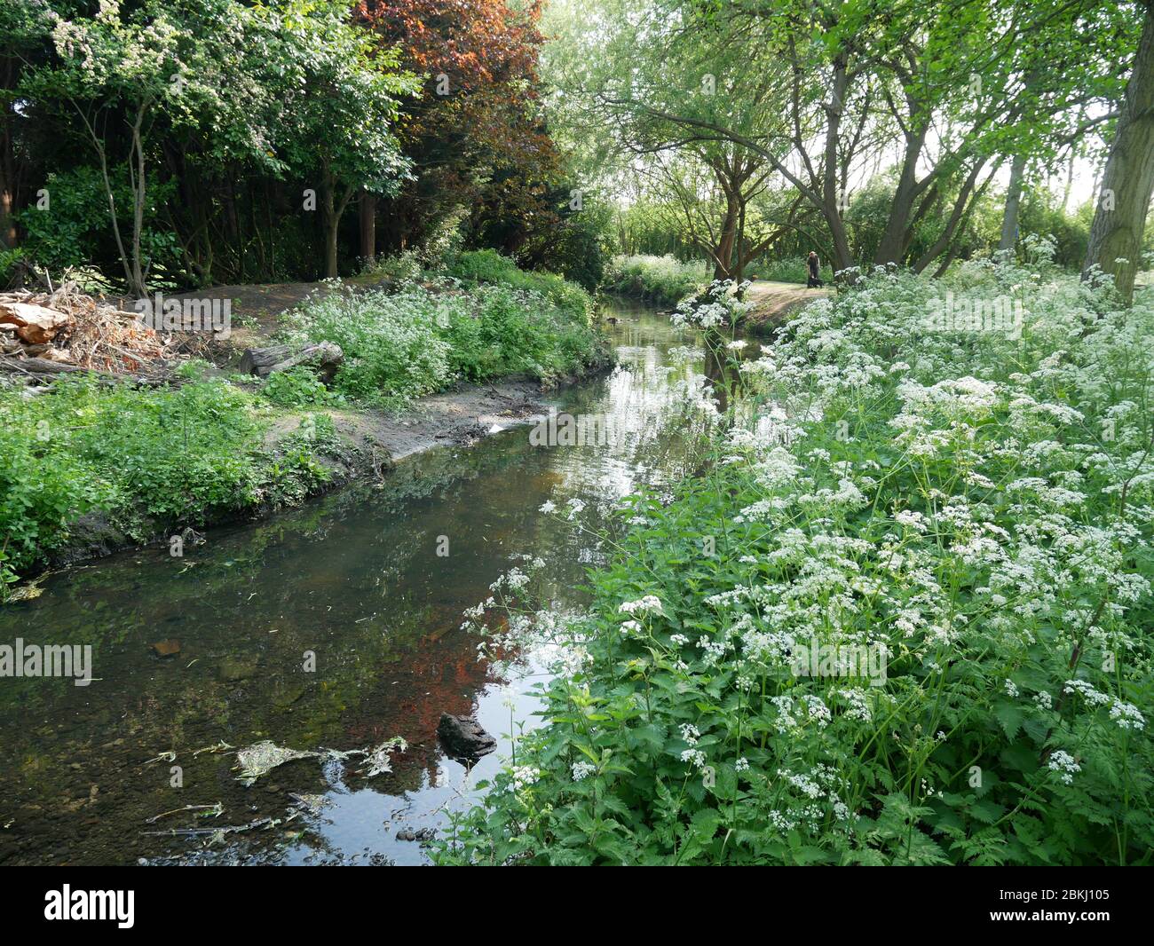 The River Pool In Kent And South East London England Stock Photo Alamy the-river-pool-in-kent-and-south-east-london-england-stock-photo-alamy