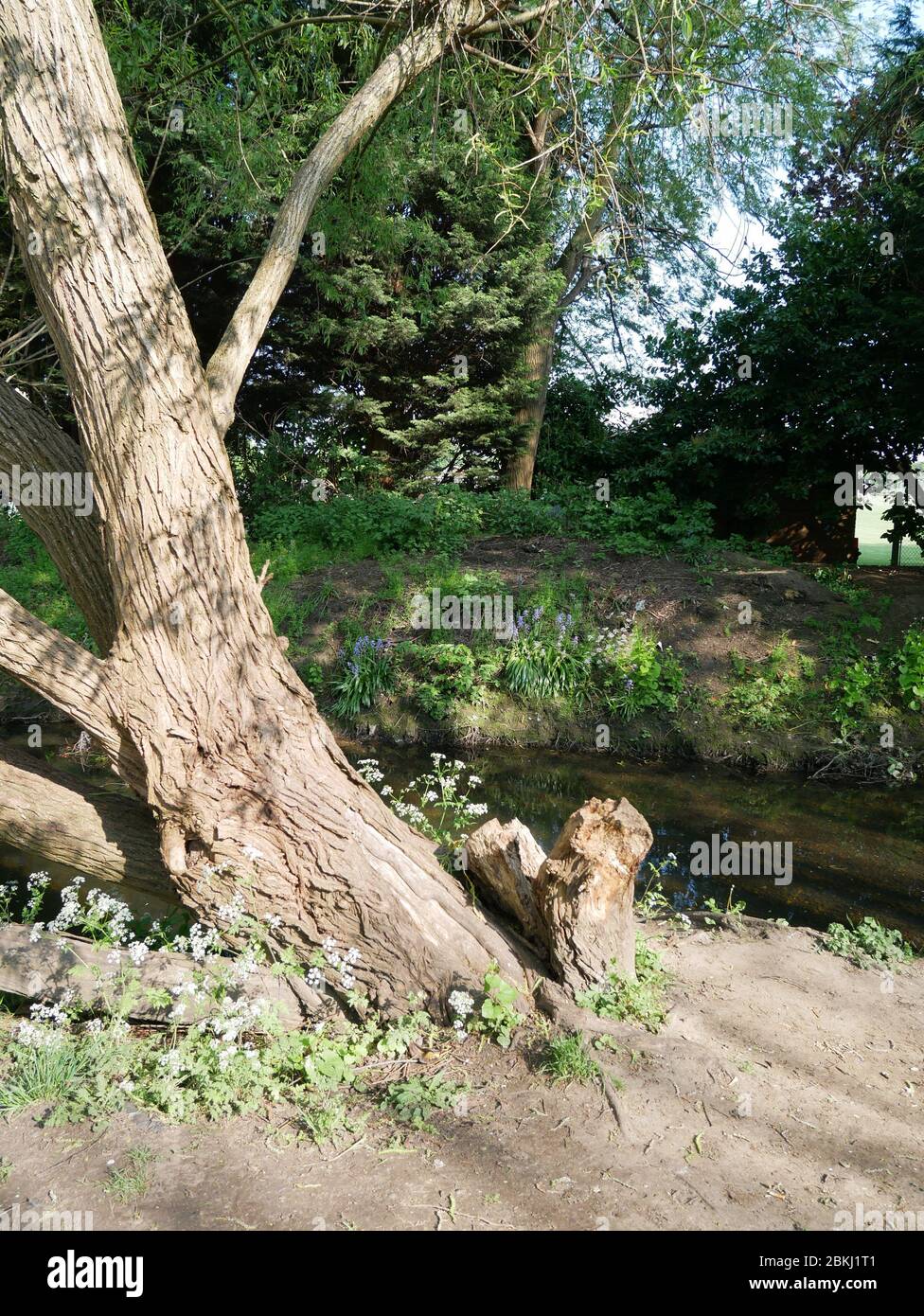 The River Pool, in Kent and South East London, England Stock Photo - Alamy