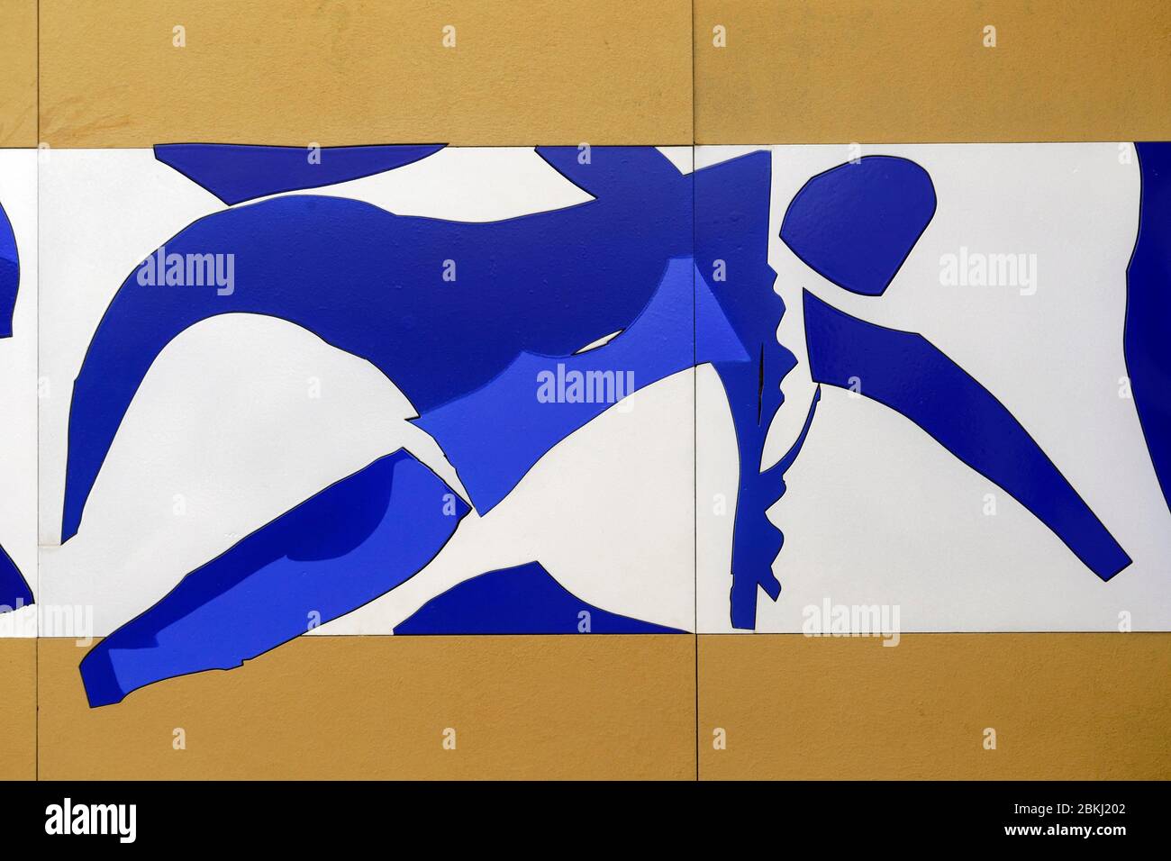 Henri Matisse Swimming Pool