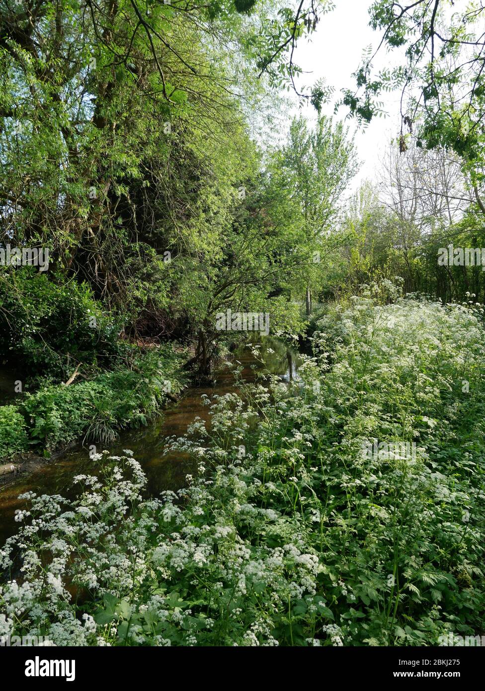 The River Pool, in Kent and South East London, England Stock Photo - Alamy