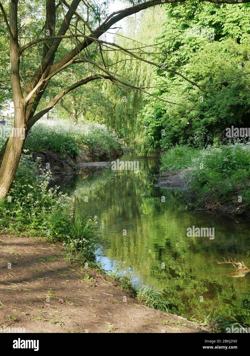 Of beckenham hi-res stock photography and images - Alamy