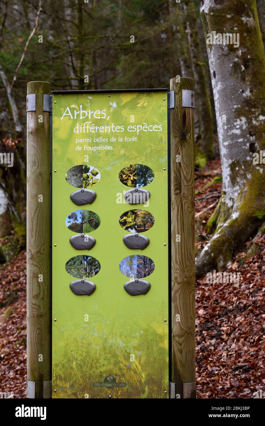Tree information board hi-res stock photography and images - Alamy