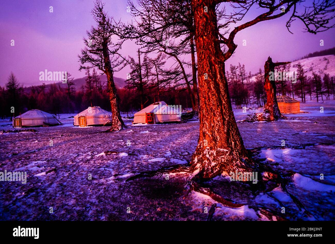 Mongolia, Khövsgöl province, Mörön, Khatgal darhat herders community ...