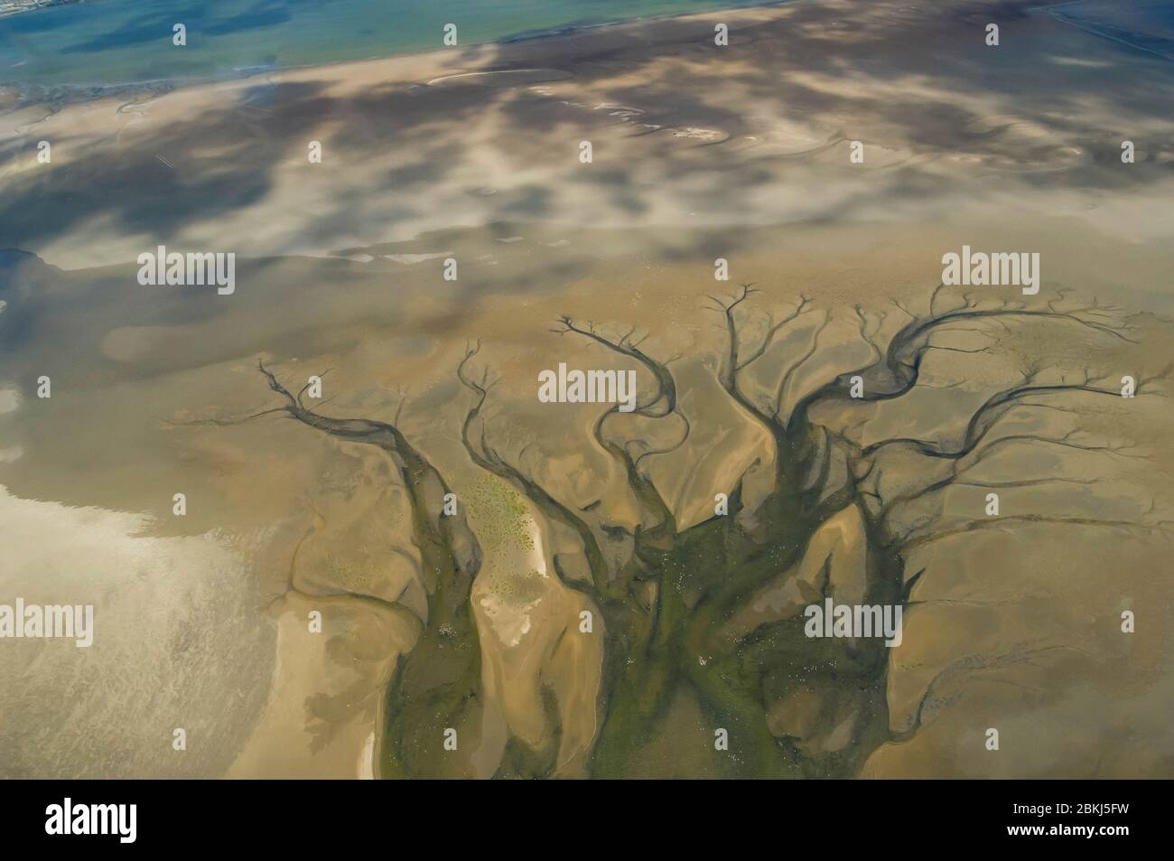 Namibia, Walvis Bay, Namib desert, in the delta of a river, these ...