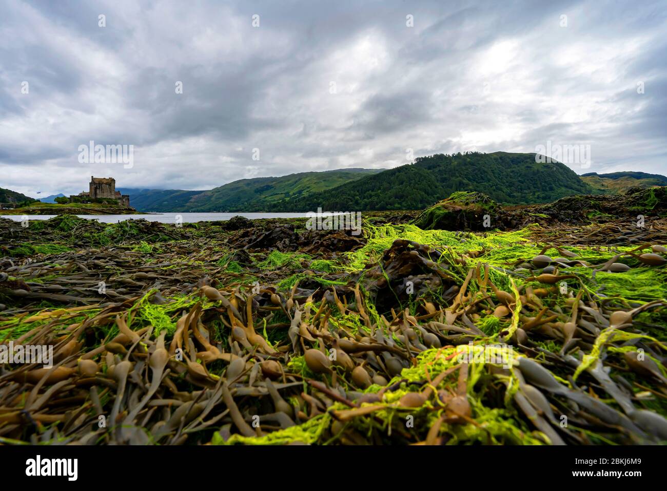 United Kingdom, Scotland, Highlands, Ross & Cromarty County, Dornie ...