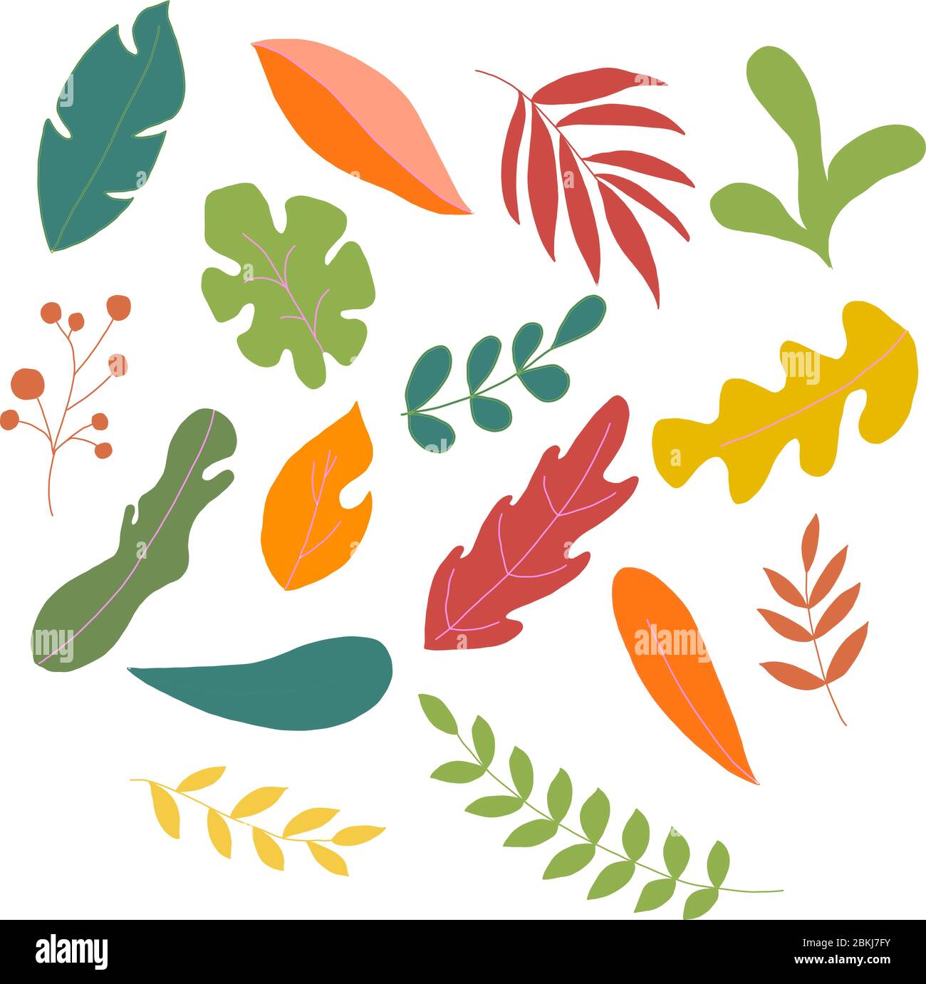 Set of colored leaves on a transparent background in vector graphics ...