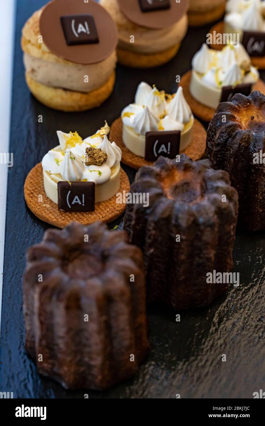 Cochon de mer hi-res stock photography and images - Alamy