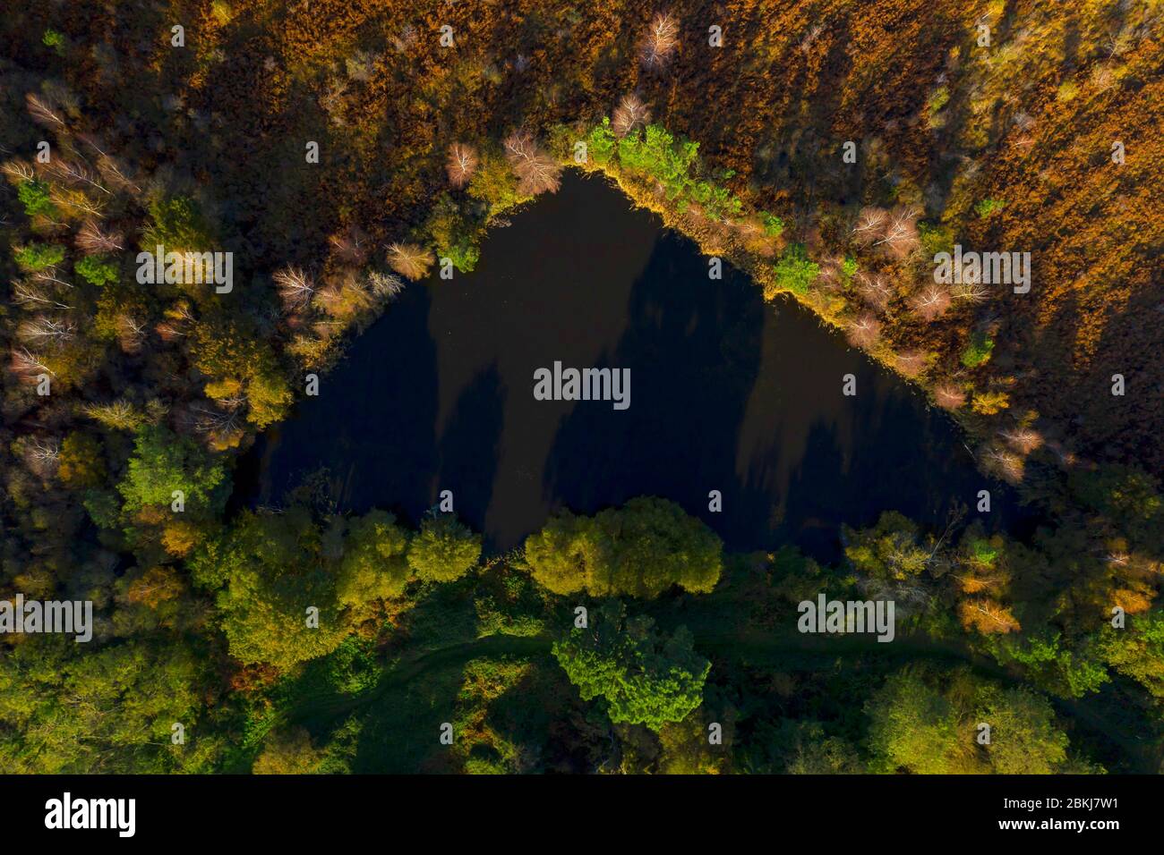 France, Gironde, Bassin d'Arcachon, Audenge, the swamp of Mesple Stock ...