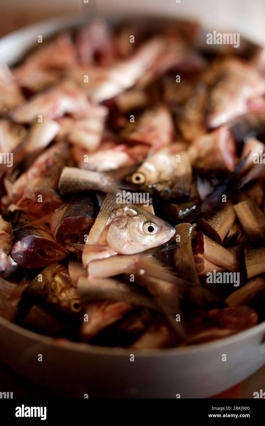 Fish heads hi-res stock photography and images - Alamy