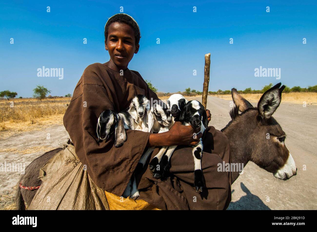 Sudan, south Kordofan, Nuba Hills, Baggara shepherd and his newborn ...