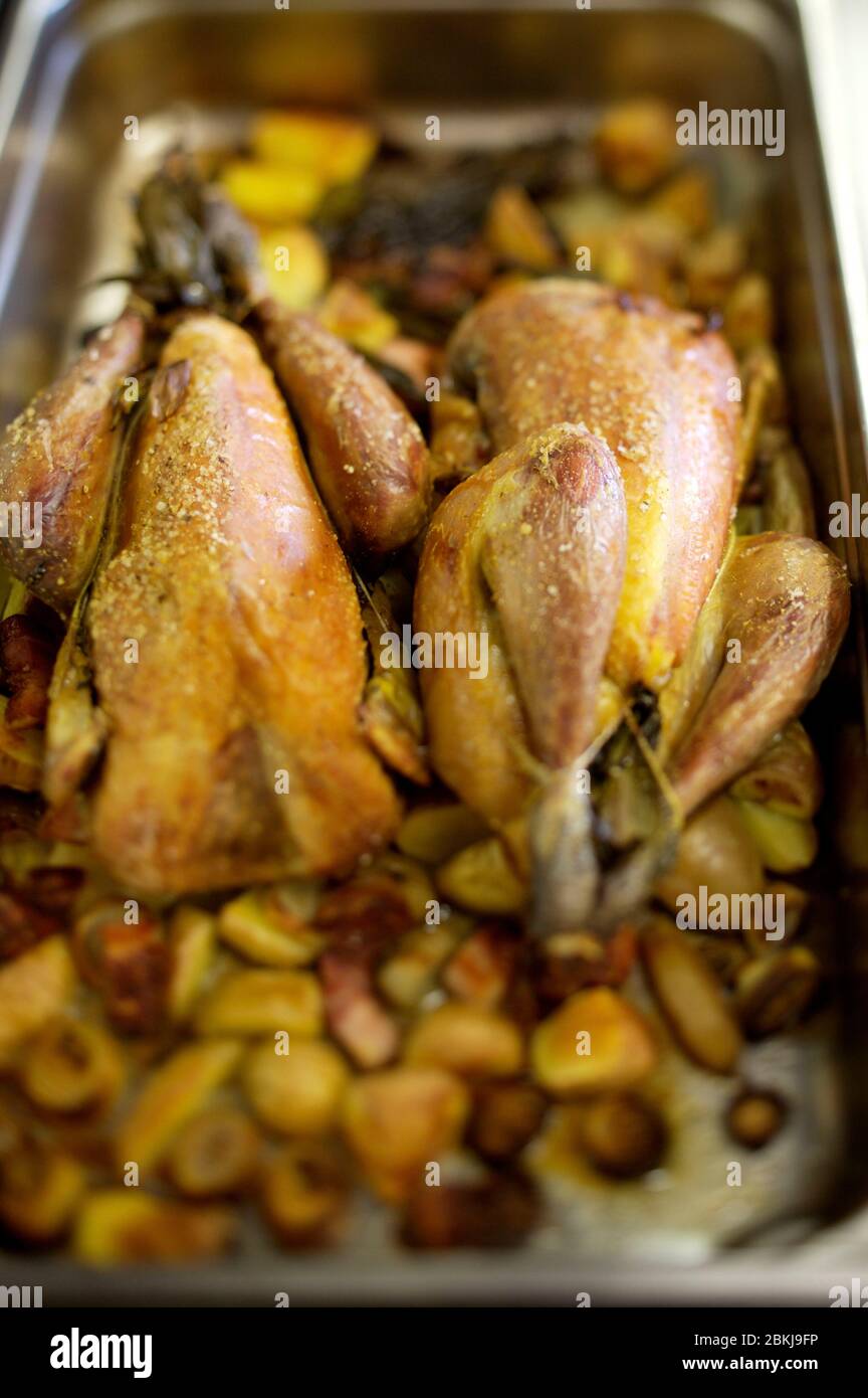 Guinea fowl meat hi-res stock photography and images - Alamy