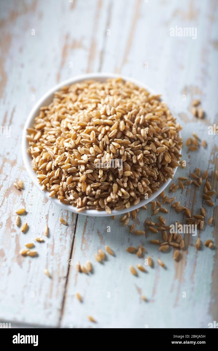 Durum wheat hi-res stock photography and images - Alamy