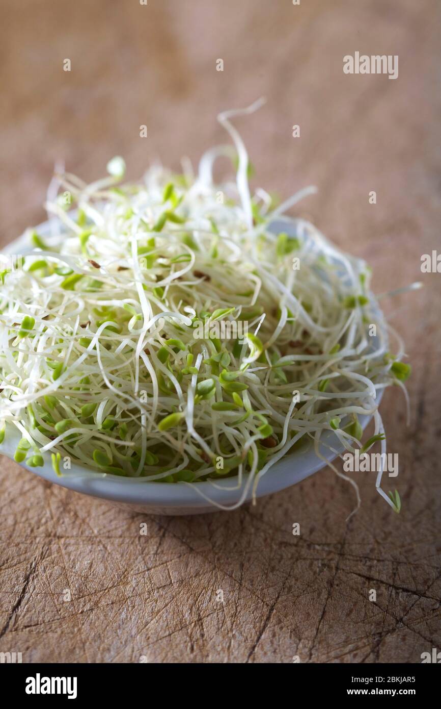 Alfalfa close up hi-res stock photography and images - Alamy