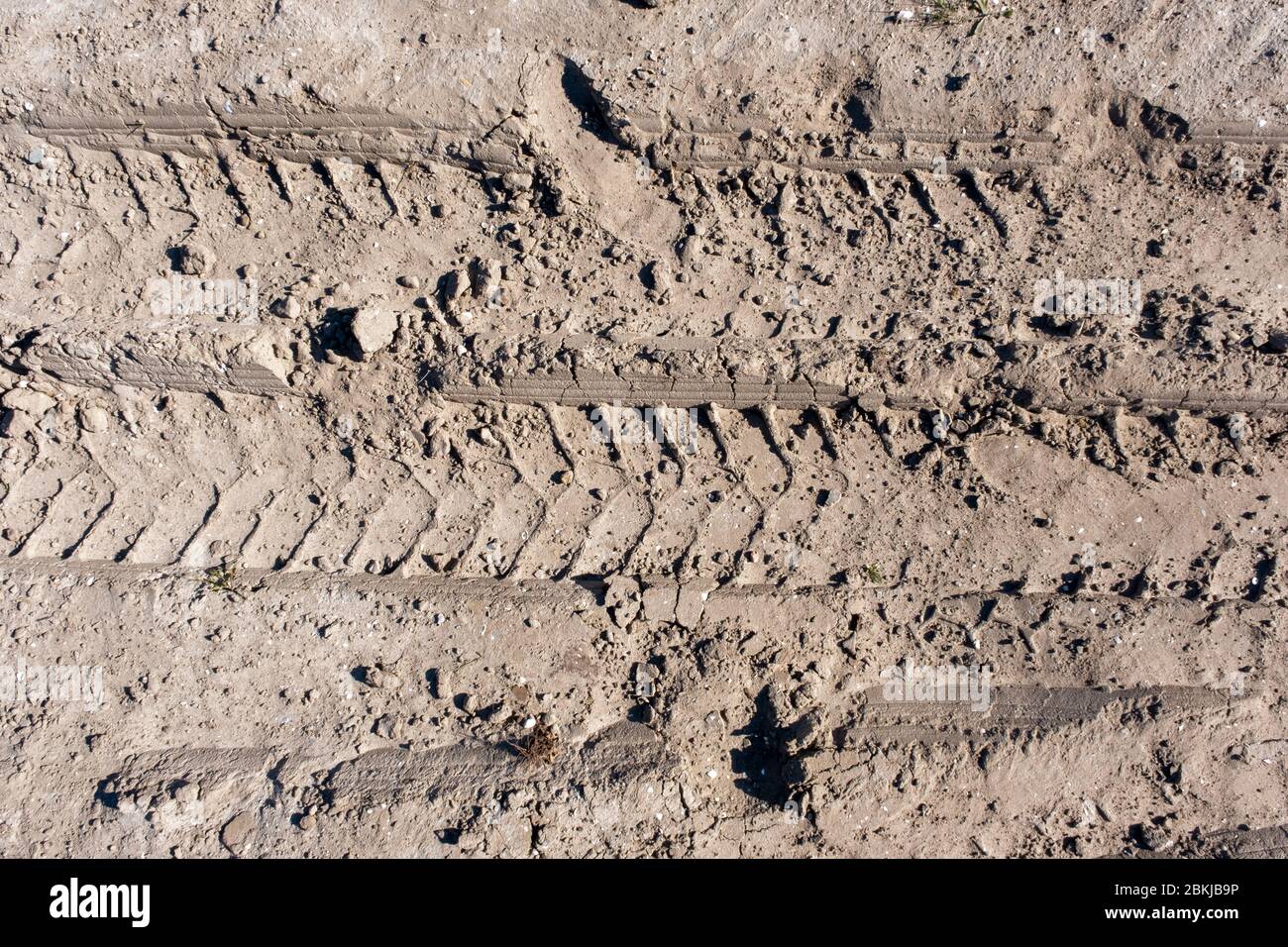 Wheel tracks in the mud, detail footprints Car Stock Photo - Alamy