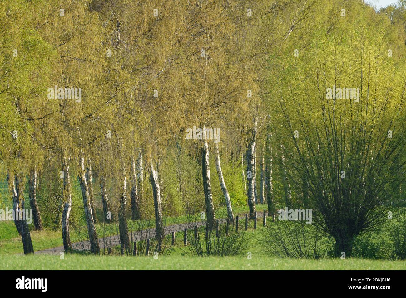 spring time in germany Stock Photo - Alamy