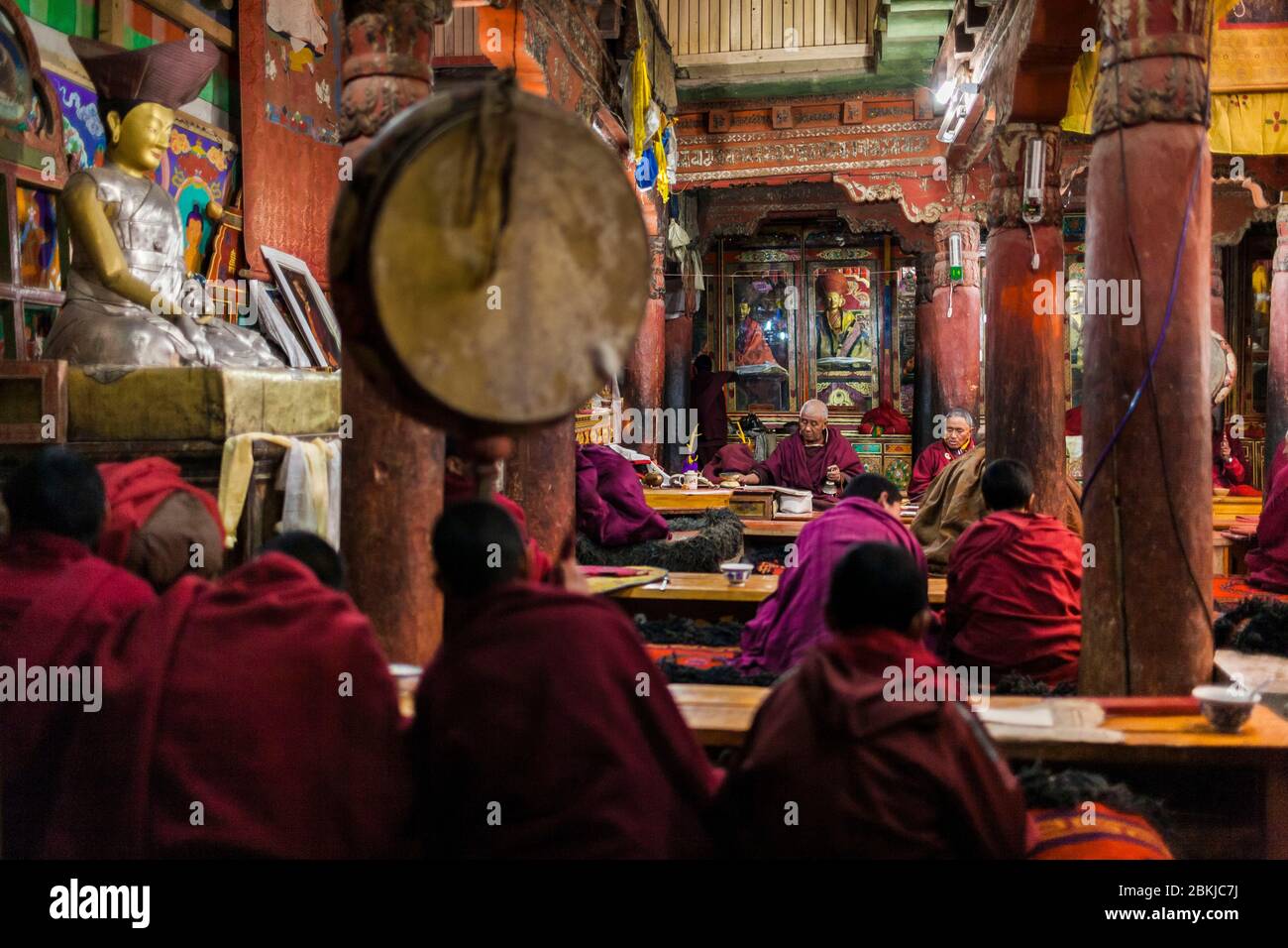India, Jammu and Kashmir, Ladakh, Hemis Gompa, seated monks reciting ...