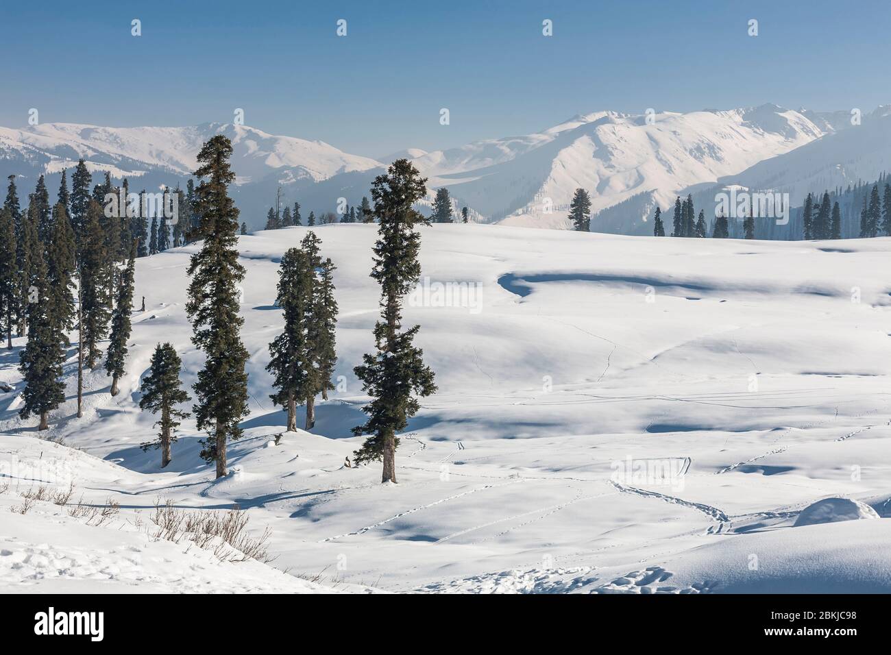 India, Jammu and Kashmir, Gulmarg, snowfield and mountain, view from ...