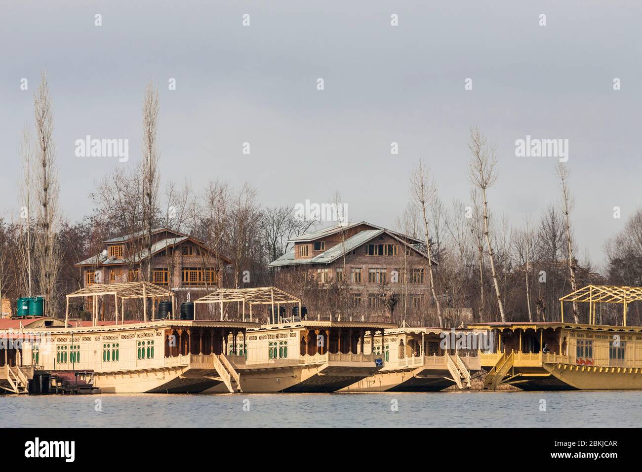 India, Jammu and Kashmir, Srinagar, Lake Nageen, row of houseboats ...
