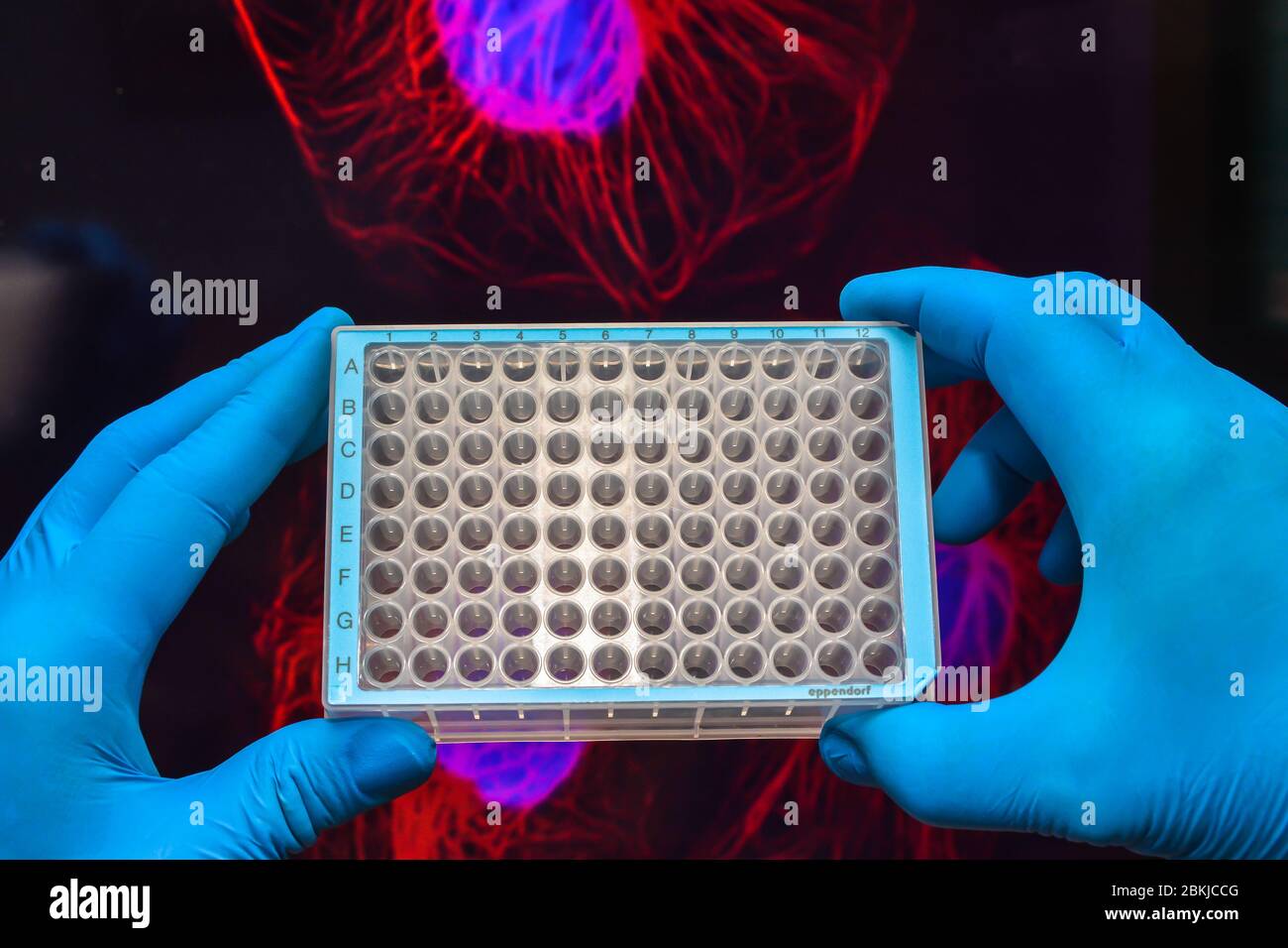 96 well plate analysis science hi-res stock photography and images - Alamy