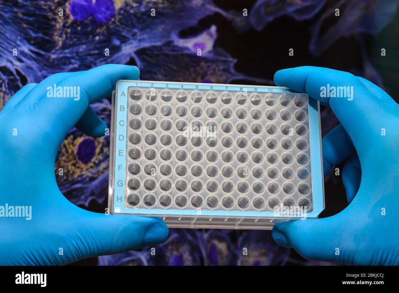 96 well plate analysis science hi-res stock photography and images - Alamy