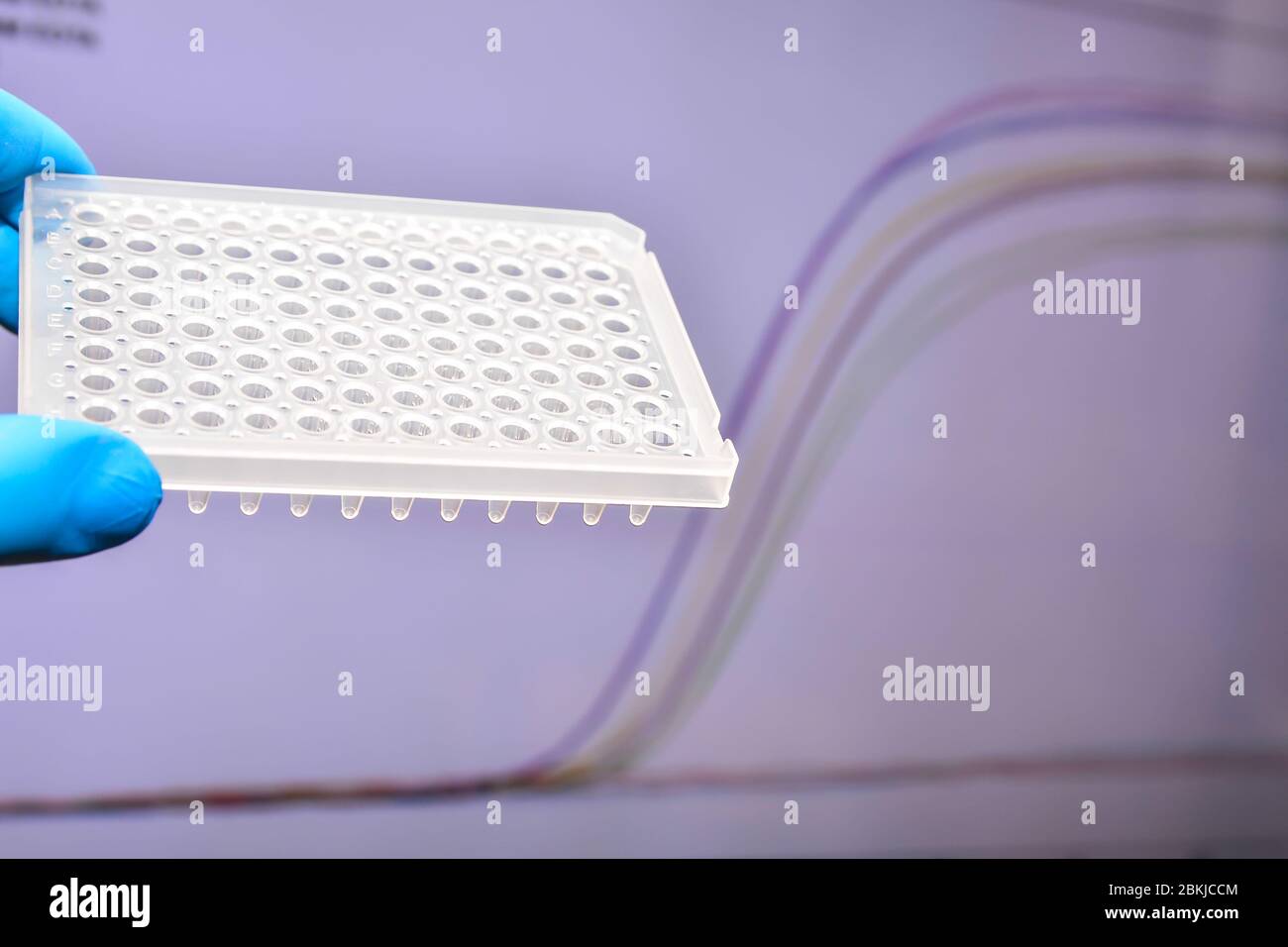 Real-Time PCR research in the laboratory. 96-well plate on the ...