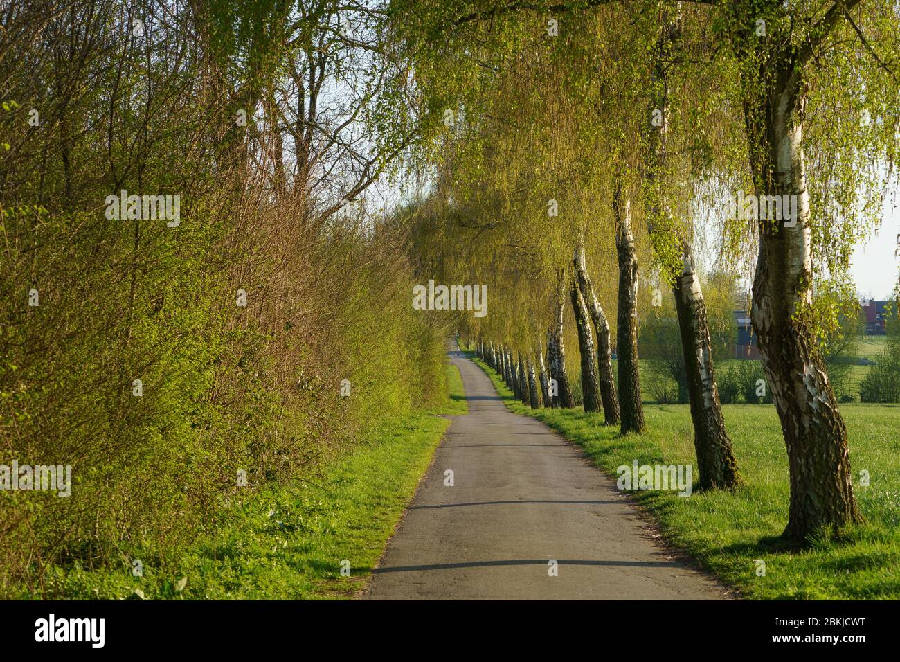 small alley in germany Stock Photo - Alamy