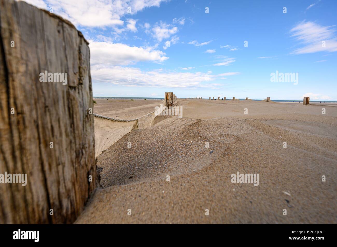 Wooden poles of the sea defences line the beach at Dunkirk Stock Photo ...