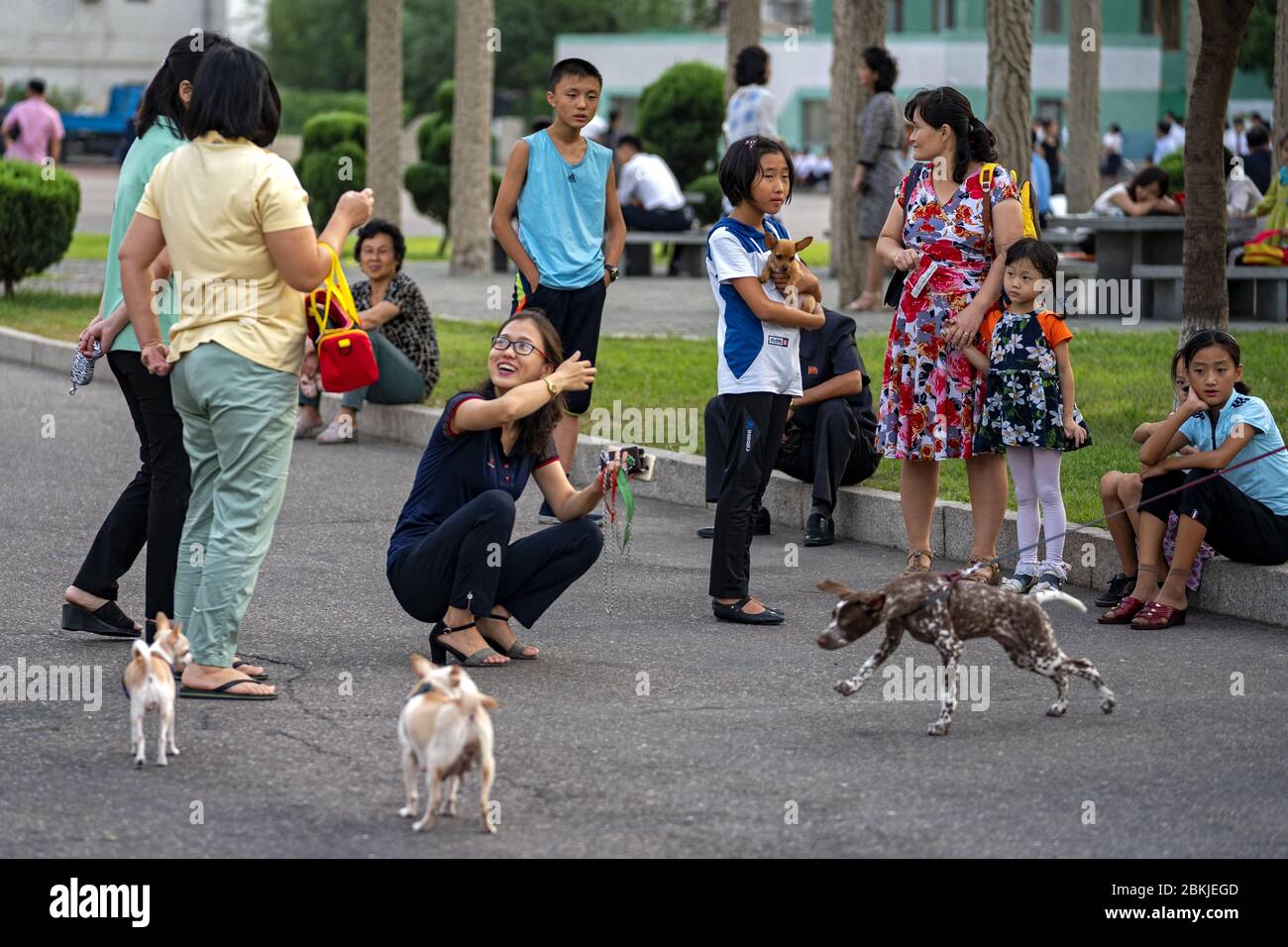 Daily life dog hi-res stock photography and images - Alamy