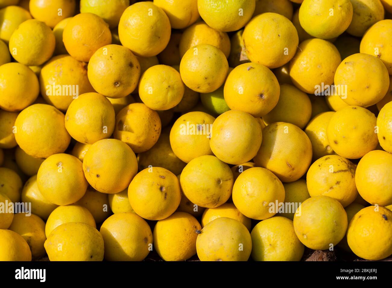 Lemons india hi-res stock photography and images - Alamy
