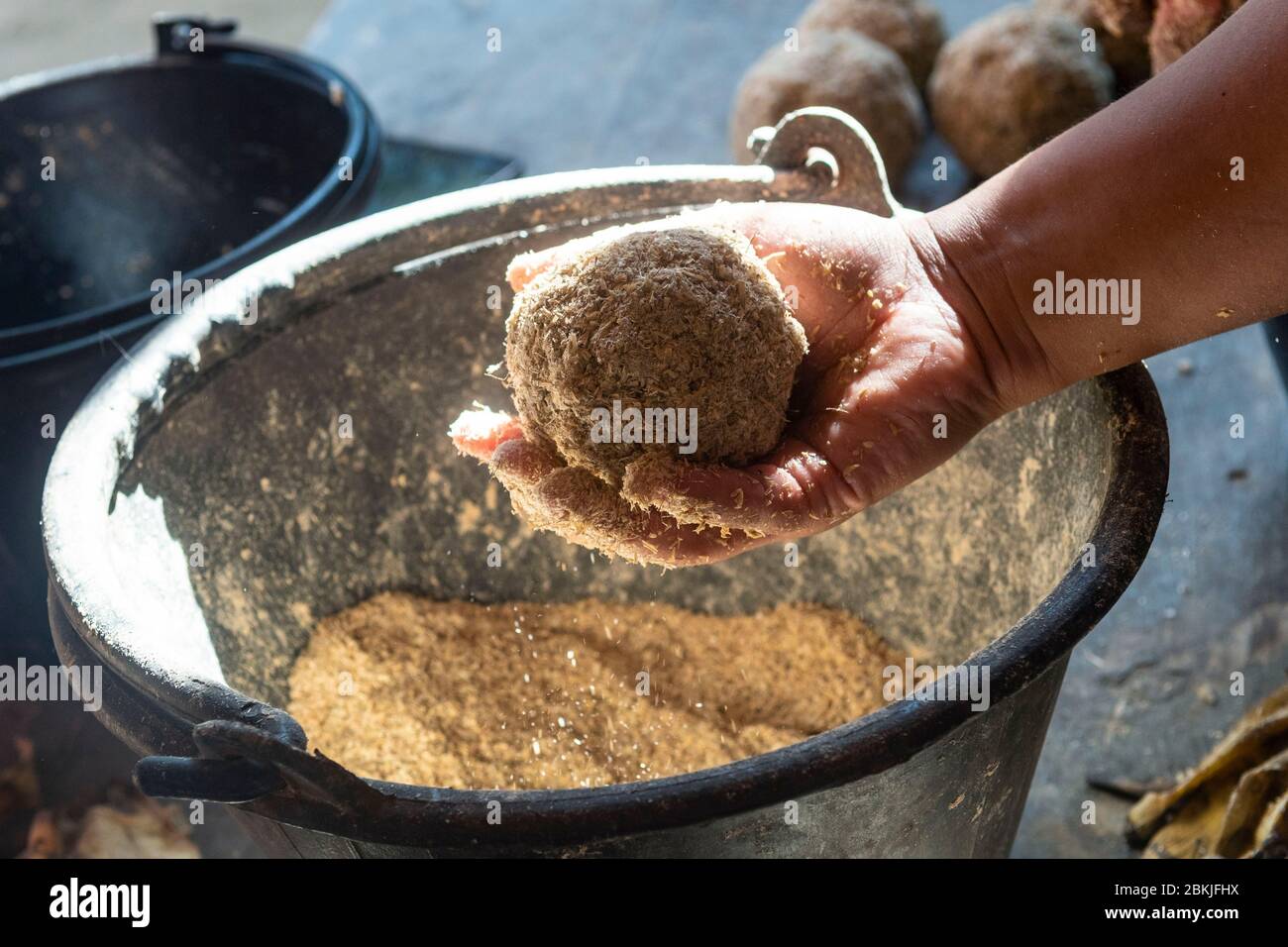 Thailand, region of Kanchanaburi, elephant farm of Elephant Haven, Meal ...