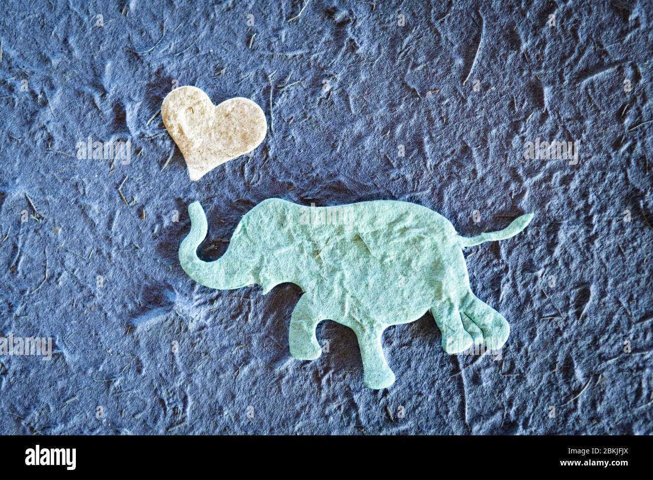 Thailand, province and city of Chiang Mai, Elephant Poo Poo Paper Park ...