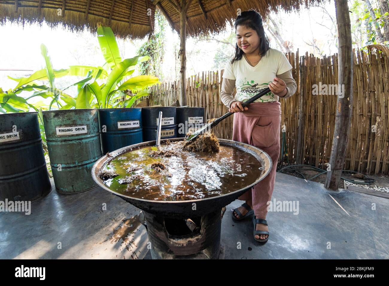 Thailand, province and city of Chiang Mai, Elephant Poo Poo Paper Park ...