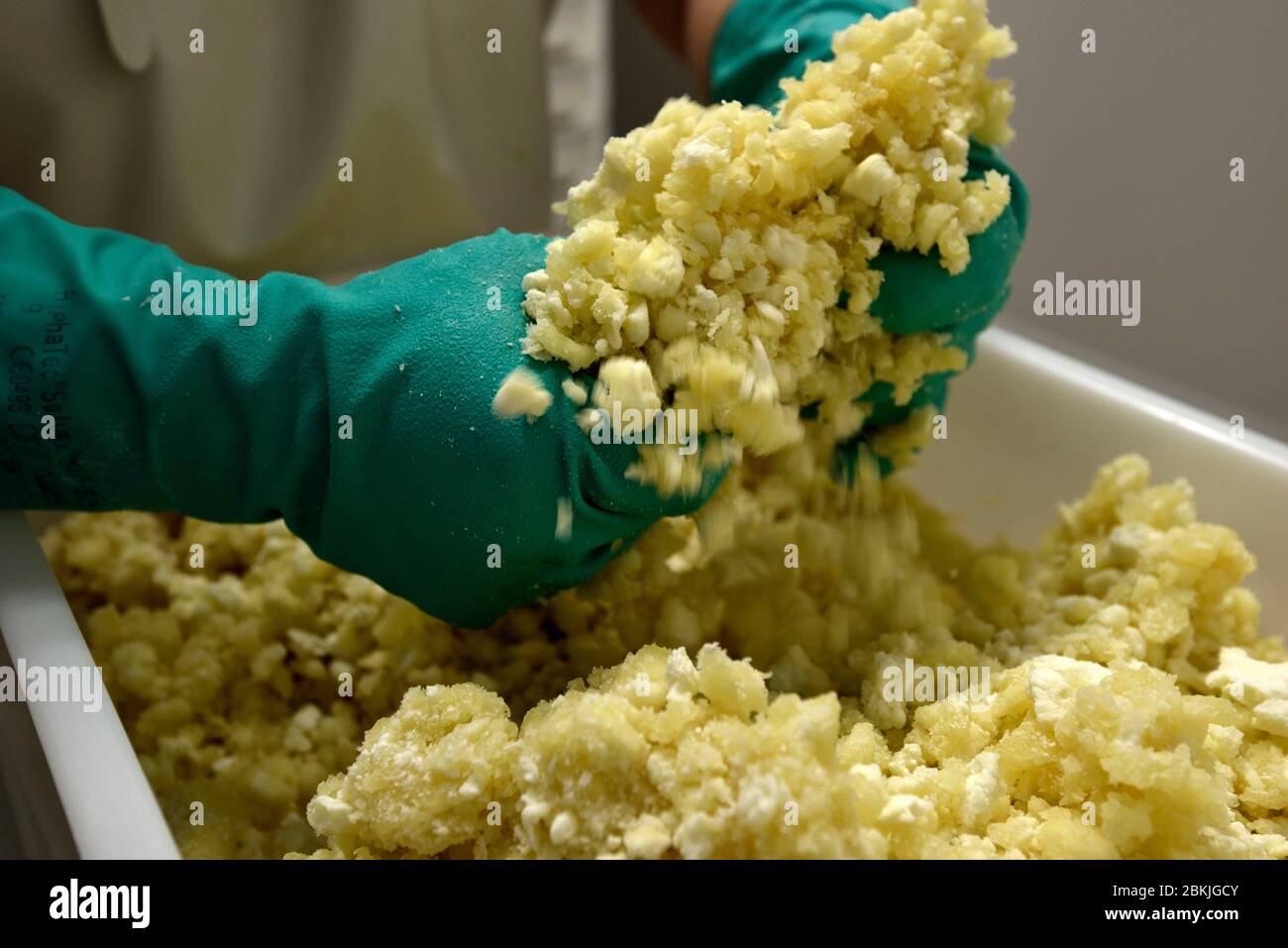 France, Doubs, Vieux Charmont, Lehmann cheese dairy, manufacture of ...